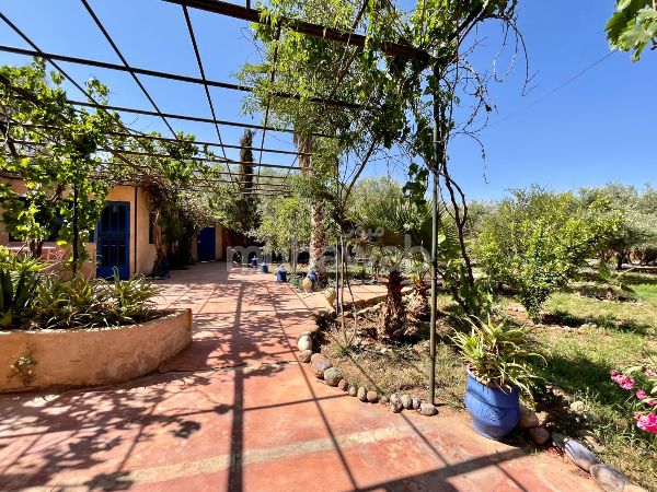 A Vendre Ferme Maroc