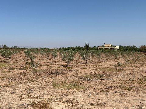Farms for sale Morocco, Farm Sale - Mubawab