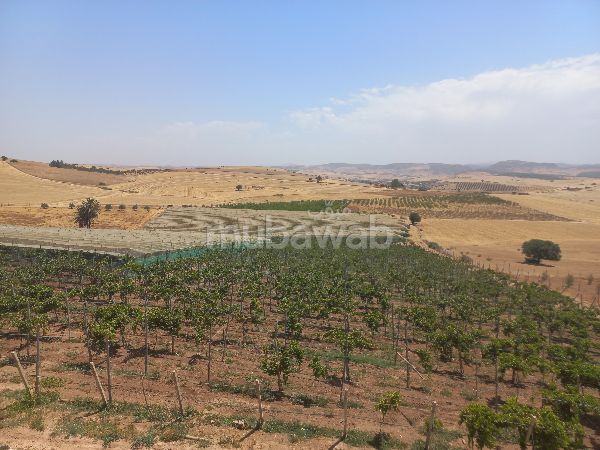 Farms for sale Morocco, Farm Sale - Mubawab