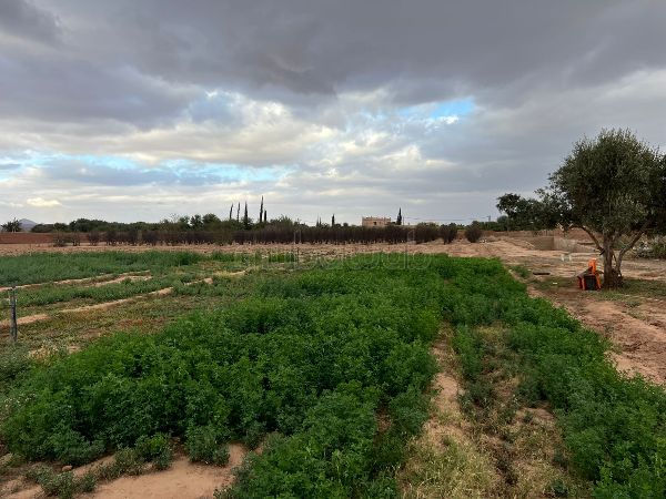 Farms for sale Morocco, Farm Sale - Mubawab