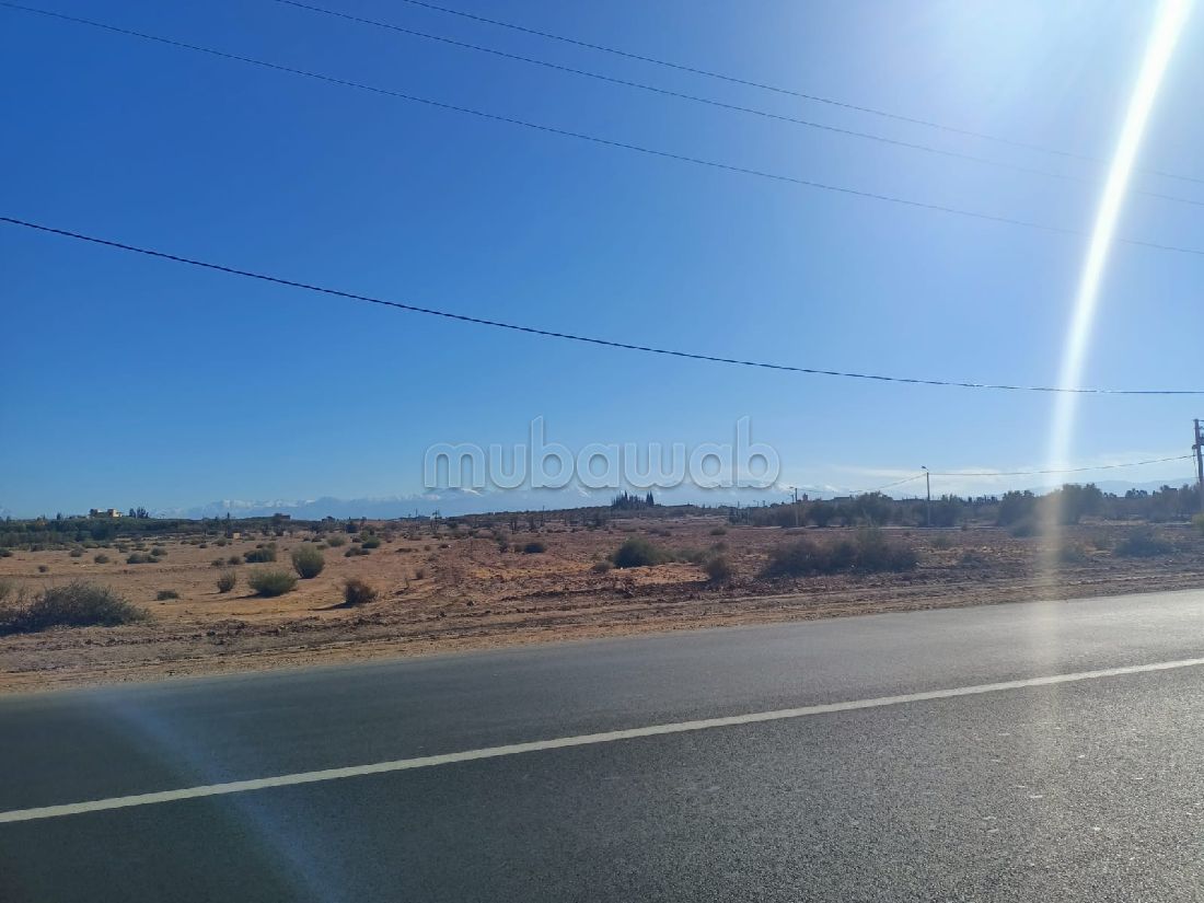 5,2 hectares titré sur le bord de la route principale à petit prix ...