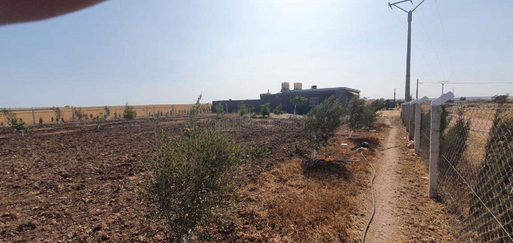 Ferme à vendre 6km de centre ville settat - Mubawab