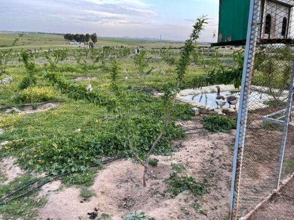 Farms for sale Morocco, Farm Sale - Mubawab