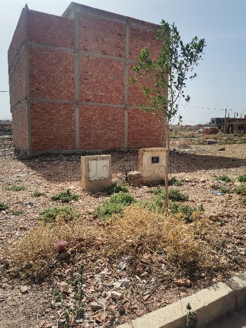 Terrain à Vendre Oujda, Vente Terrain - Mubawab