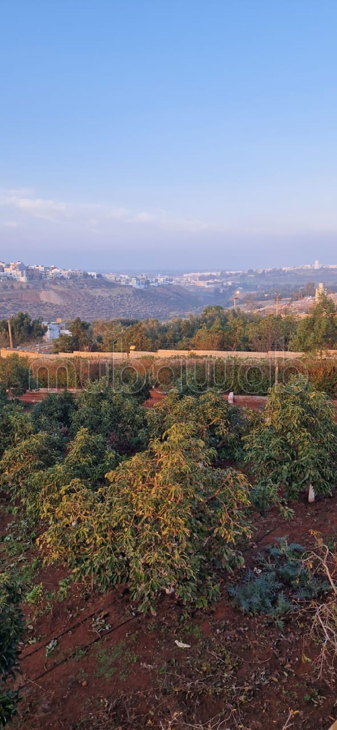 Trouvez votre ferme à acheter à Sidi Yahya Zaer. Surface totale 2500 m² ...
