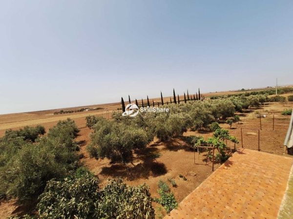 A Vendre Ferme Maroc